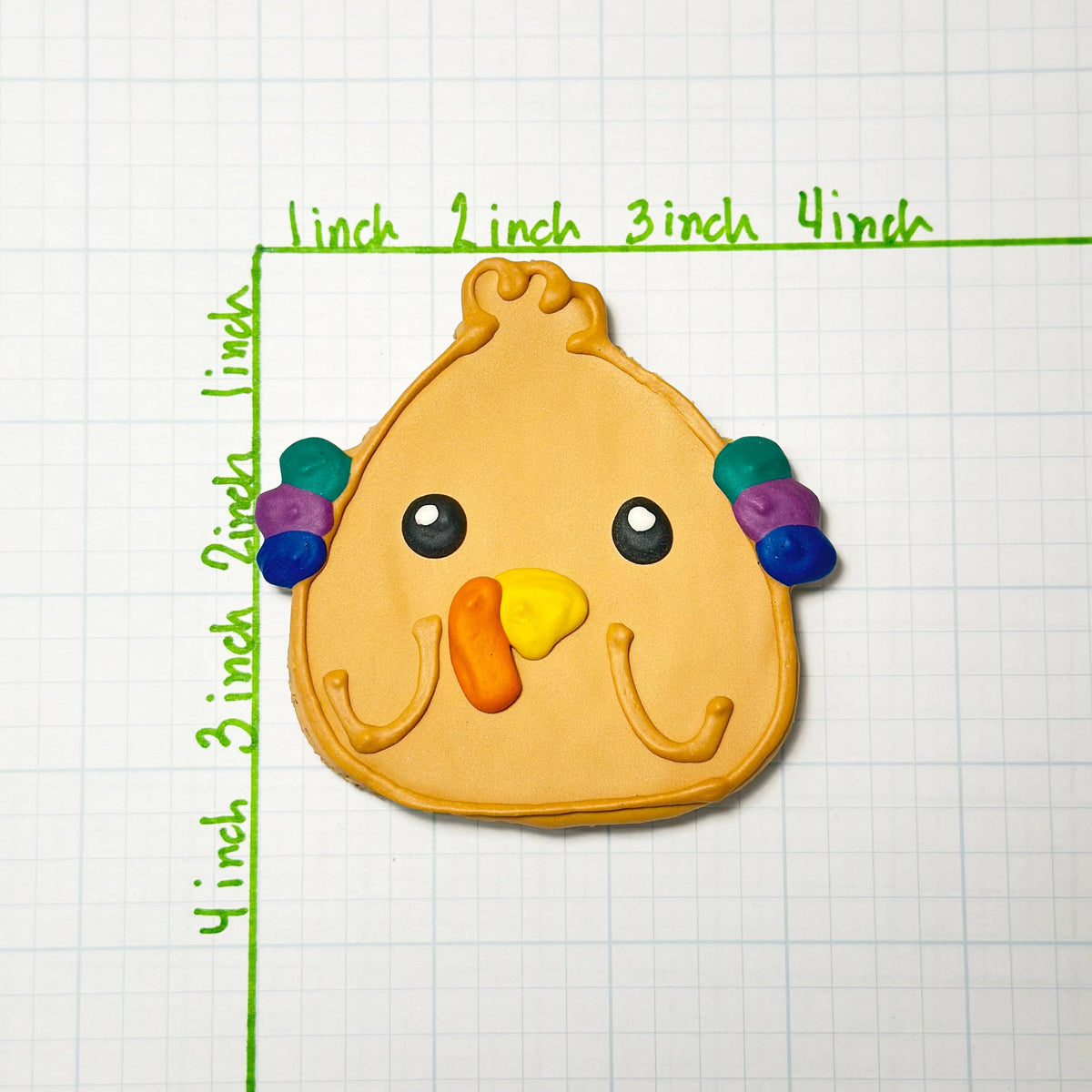 Turkey | Lucky Biscuit – Château Le Woof