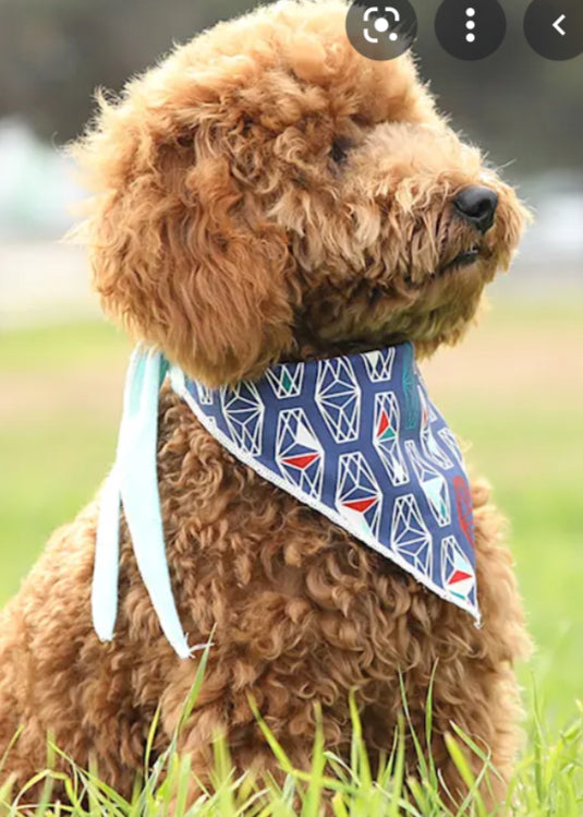The Long Dog Company | Bandanas – Château Le Woof